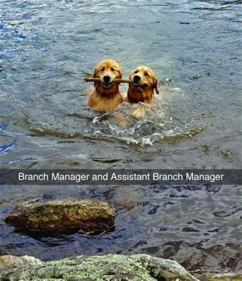 Branch Manager And Assistant Branch Manager Meme By Schizoidman