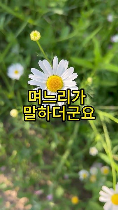명절에 손하나 까딱 안하는 며느리 결국은 며느리 고부갈등 인생썰 시어머니 Youtube