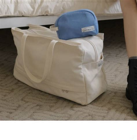 잡담 🙋‍♀️해외 갈때 기내수하물 가방 질문🙋‍♀️ 인스티즈instiz 일상 카테고리