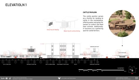 Cattle Market Adaptation To Survive Soad School Of Architecture And Design