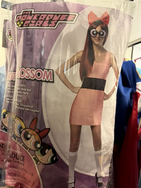 Powerpuff Girls Blossom Deluxe Adult Costume Cosplay Gem