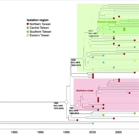 Time Scaled Phylogeny Of 71 Methicillin Resistant Staphylococcus Download Scientific Diagram