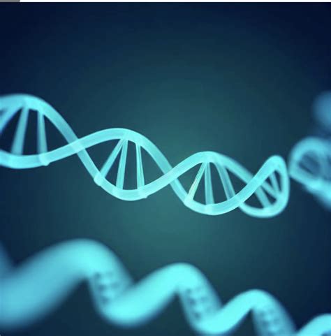 Amyloid Beta Thế Giới Thuốc Mới