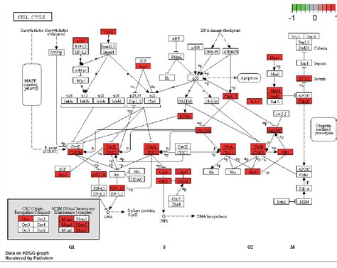 Figure 2 From A Combination Of Mrna Expression Profile And Mirna Expression Profile Identifies