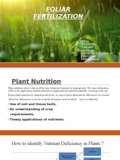 Foliar Fertilization Plant Nutrition Fertilizer