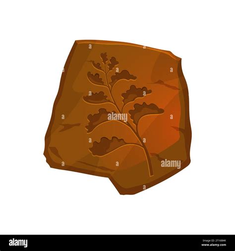 Ancient Fossil Plant Imprint In Stone Extinct Tree Specie Piece