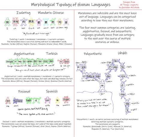 LanguageCrawler On Twitter Morphological Typology Of Human Languages By GretchenAMcC Larger