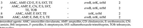 Antimicrobial Resistance Profiles And Dibi Mic For S Pseudintermedius Download Scientific