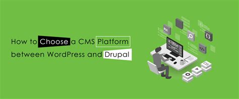 which cms platform should you choose wordpress or drupal