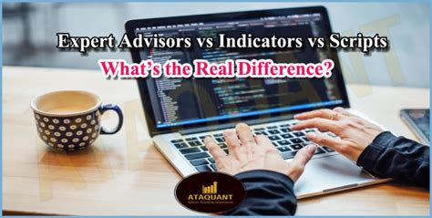 Whats The Difference Between Expert Advisors Indicators And Scripts In Metatrader Ataquant
