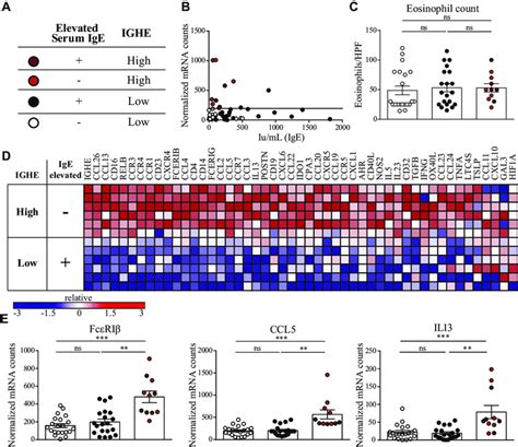 Serum Ige Esophageal Ighe Transcript Levels And Local Th2 Type