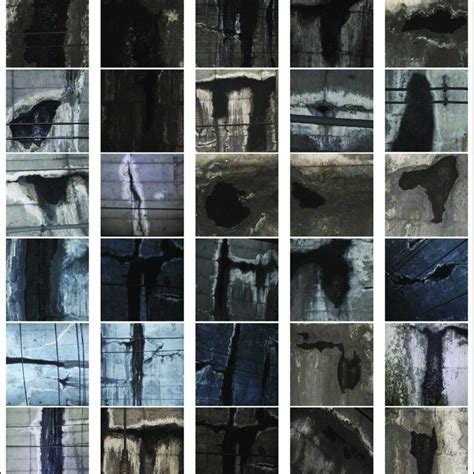Some Images In Water Leakage Dataset Of Tunnel Lining Download