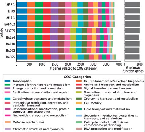 Cog Functional Categories Representation Of The Predicted Genes For The