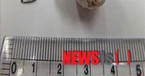 성미제과 검은콩 사탕금속 이물질 발견 충격