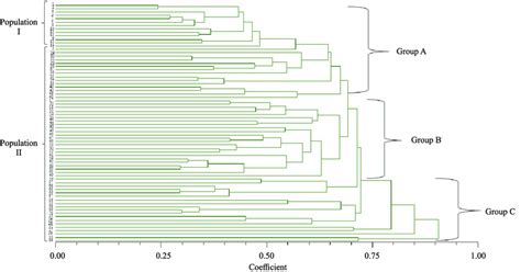 Dendrogram For The 70 Passiflora Genotypes Based On The Nei Li 1979 Download Scientific
