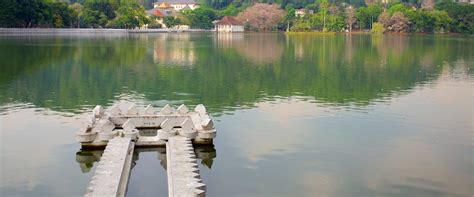 Kandy Motel Browse Cheap Motels In Kandy 2026 Expedia Ca