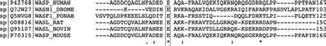 clustalw multiple sequence alignment showing the position of the