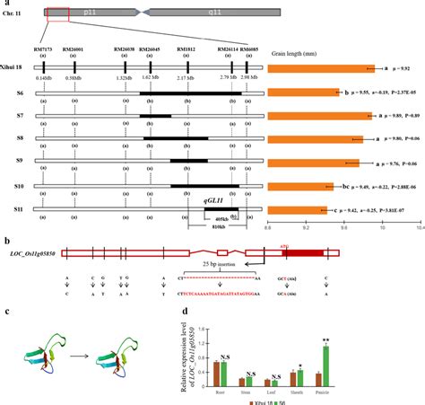 Substitution Mapping Sequence Analysis And Relative Expression Level