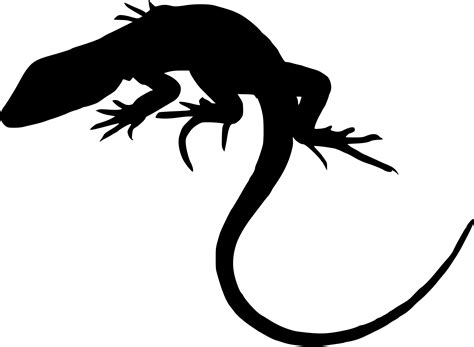 Lizard PNG Transparent Images PNG All