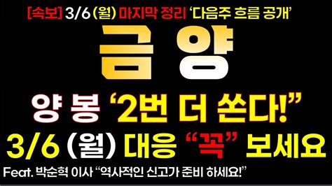 금양 36 월 마지막 정리 양봉 2번 더 쏜다 다음 주 흐름 공개 Youtube