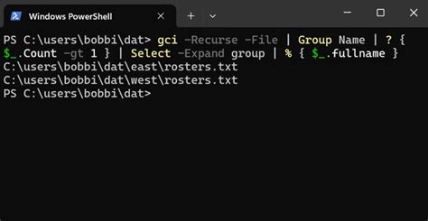 How To Find Duplicate Files In Powershell With Example Collecting Wisdom