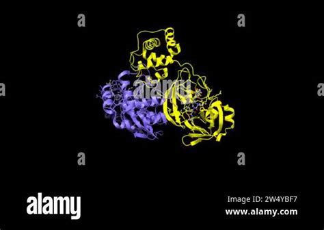 Structure Of Sars Cov 2 Main Protease Dimer Interacting With Antiviral Drug With Narlaprevir