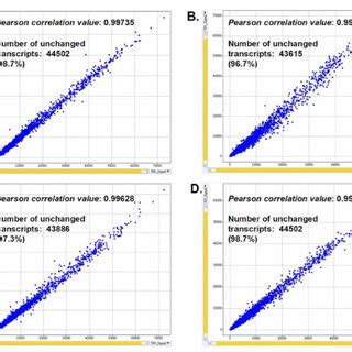 Correlation Of Biological Sample Replicates A DMSO Control