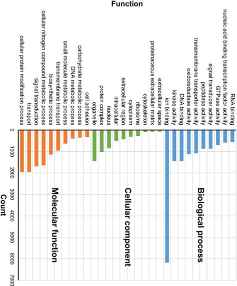 Functional Annotation Of Assembled Sequences Based On Gene Ontology Download Scientific Diagram