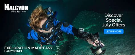 Advances In Photogrammetry Reduce Cost Of Underwater 3d Modelling Indepth