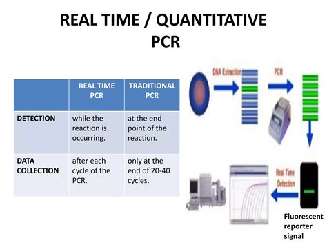 Molecular Diagnostic Techniques Pptx
