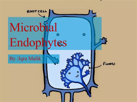 Microbial Endophytes Pptx