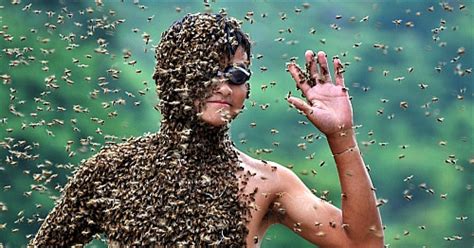 내가 세계 최고의 벌 인간268kg 벌 몸에 붙인 中 42살 양봉가 벌 매달기 대회 우승