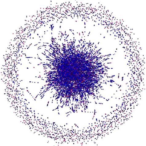 Project Individual Network Blue Nodes Projects Red Nodesfemales And Download Scientific