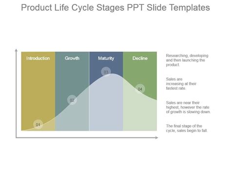 Product Life Cycle Stages Ppt Slide Templates PPT Images Gallery