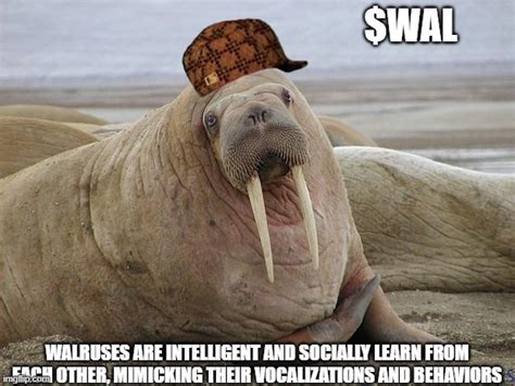 Wal With Pride Imgflip