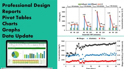 Create Advance Excel Graph And Charts By Aamirshahzad Fiverr