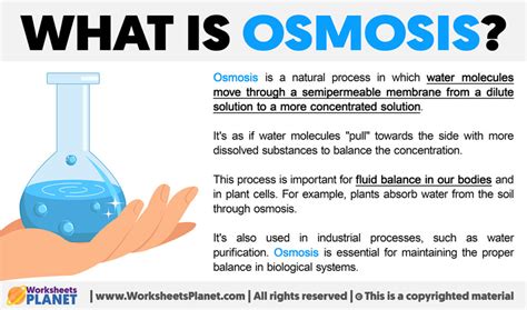 What Is Osmosis Definition Of Osmosis