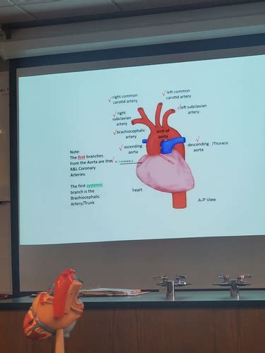 Lab Quiz 2 Flashcards Quizlet Lab Quiz 2 Flashcards Quizlet