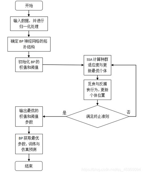麻雀搜索算法优化bp神经网络预测以及matlab代码实现麻雀算法优化bp神经网络 Csdn博客