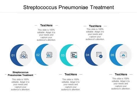 Streptococcus Pneumoniae Treatment Ppt Powerpoint Presentation Portfolio Elements Cpb