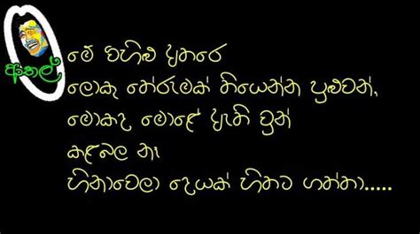 සොමි රදනක දත් යුගල වශයෙන් පිහිටි පූසෙක් Facebook