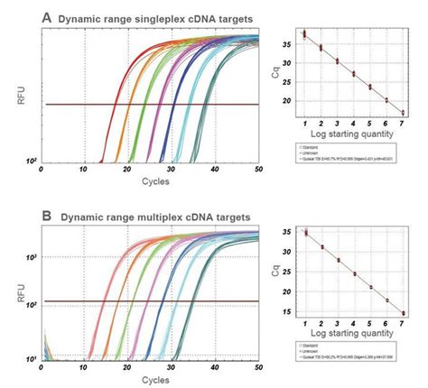 Qpcr Primer Dimer Troubleshooting At Hazel Phillips Blog
