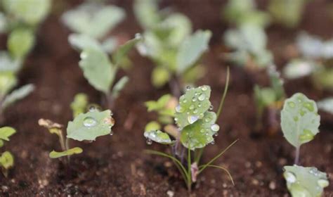 До 30 септември се удължава срокът за предоставяне на допълнителни документи за част от