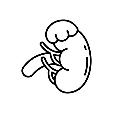 Adrenal Gland Icon In Vector Illustration 27397468 Vector Art At Vecteezy