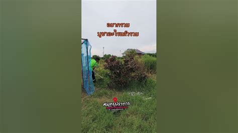 อยากรวยบูชาอะไรดีคับ คลีเอเตอร์มือใหม่ Shortvideo งานอีเว้นท์ Youtube