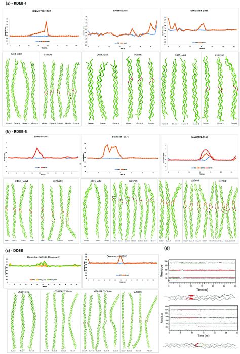 Molecular Dynamic Simulations In Deb Subtypes A And B Diameter Download Scientific Diagram