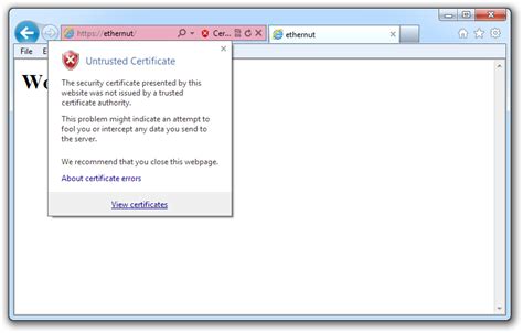Self Signed Certificates In Ie