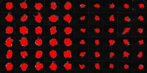 Efficient Long Term Time Lapse Microscopy Danaher Life Sciences