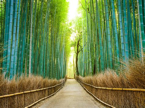 Most Beautiful Places In Japan Photos Cond Nast Traveler