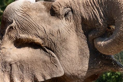 Advanced Random Sampling In Bigquery Sql By Bence Komarniczky Tds